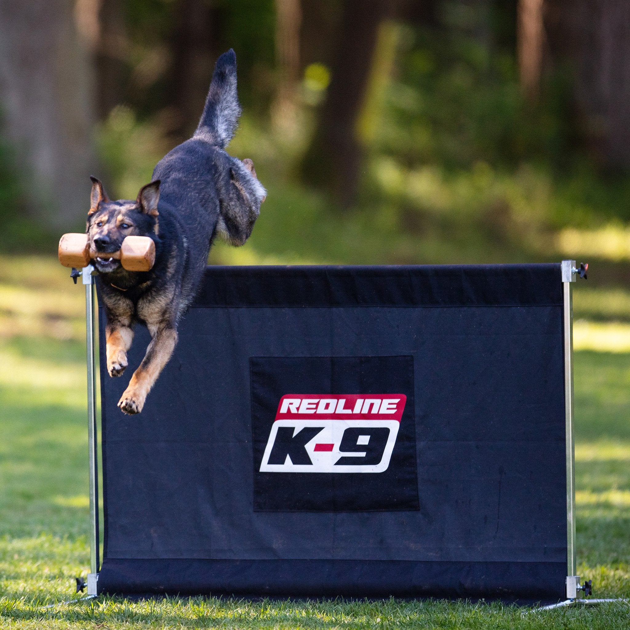 Redline K-9 Portable Adjustable IGP Jump - Black