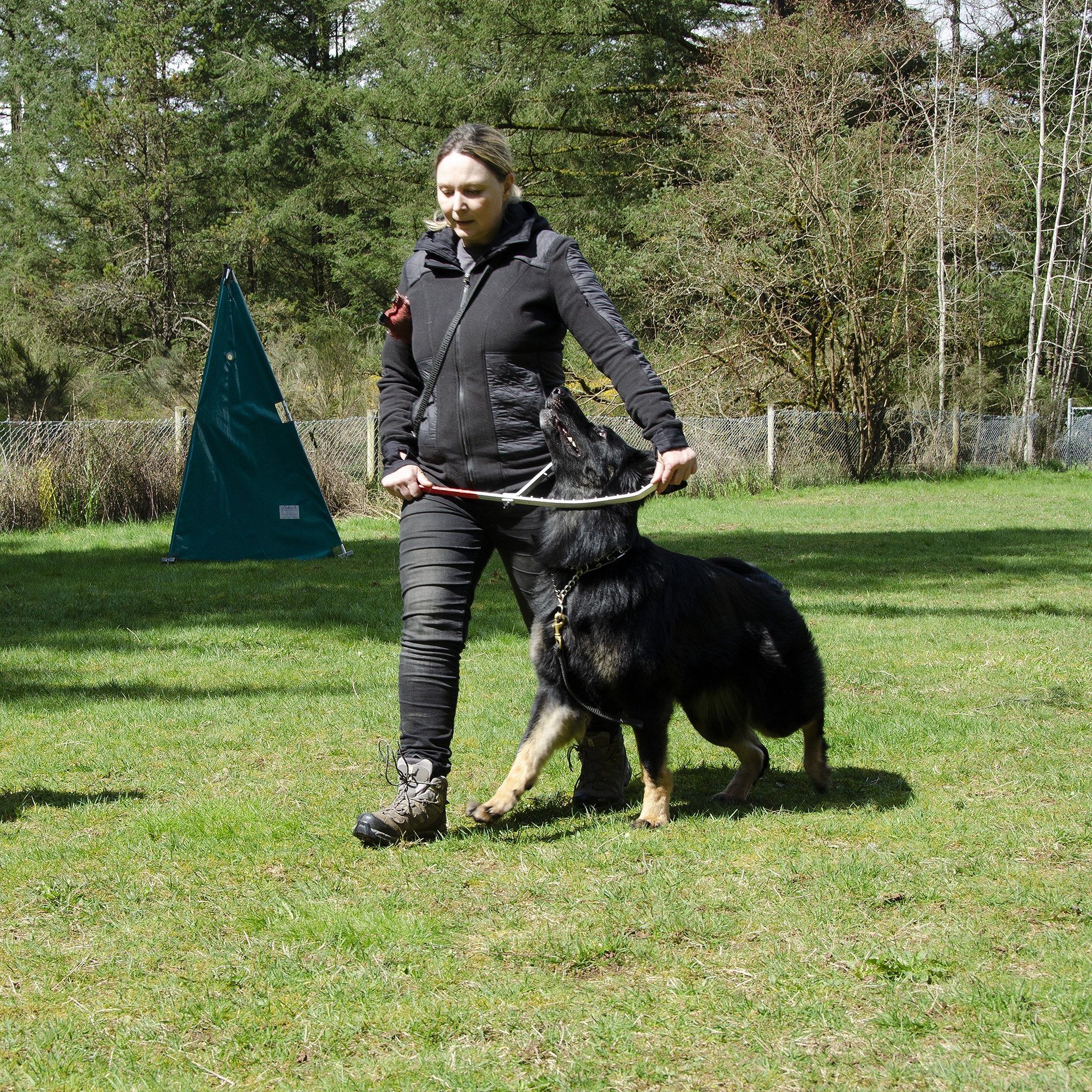 Redline K-9 Heeling And Positioning Stick